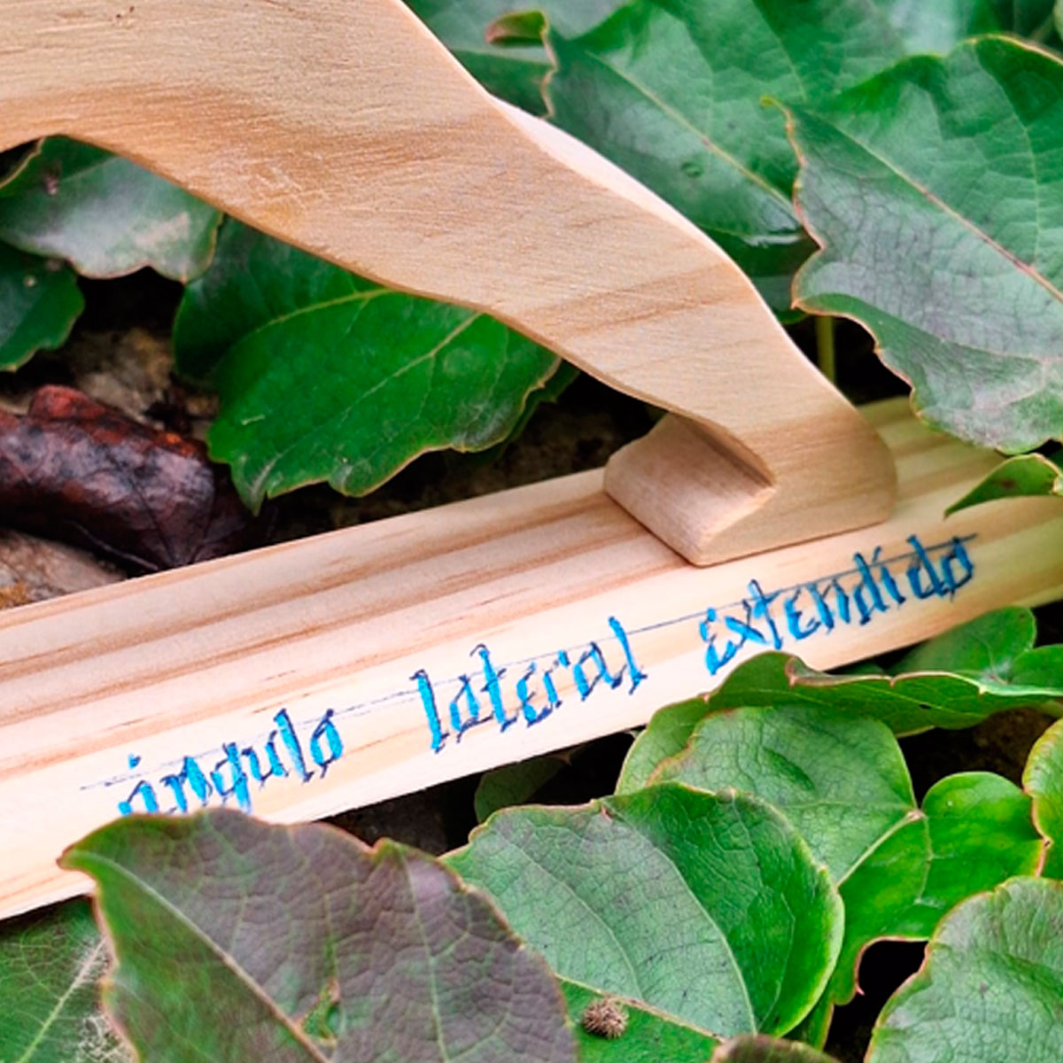 Ángulo lateral extendido asana en madera - ¡En Paloverso!